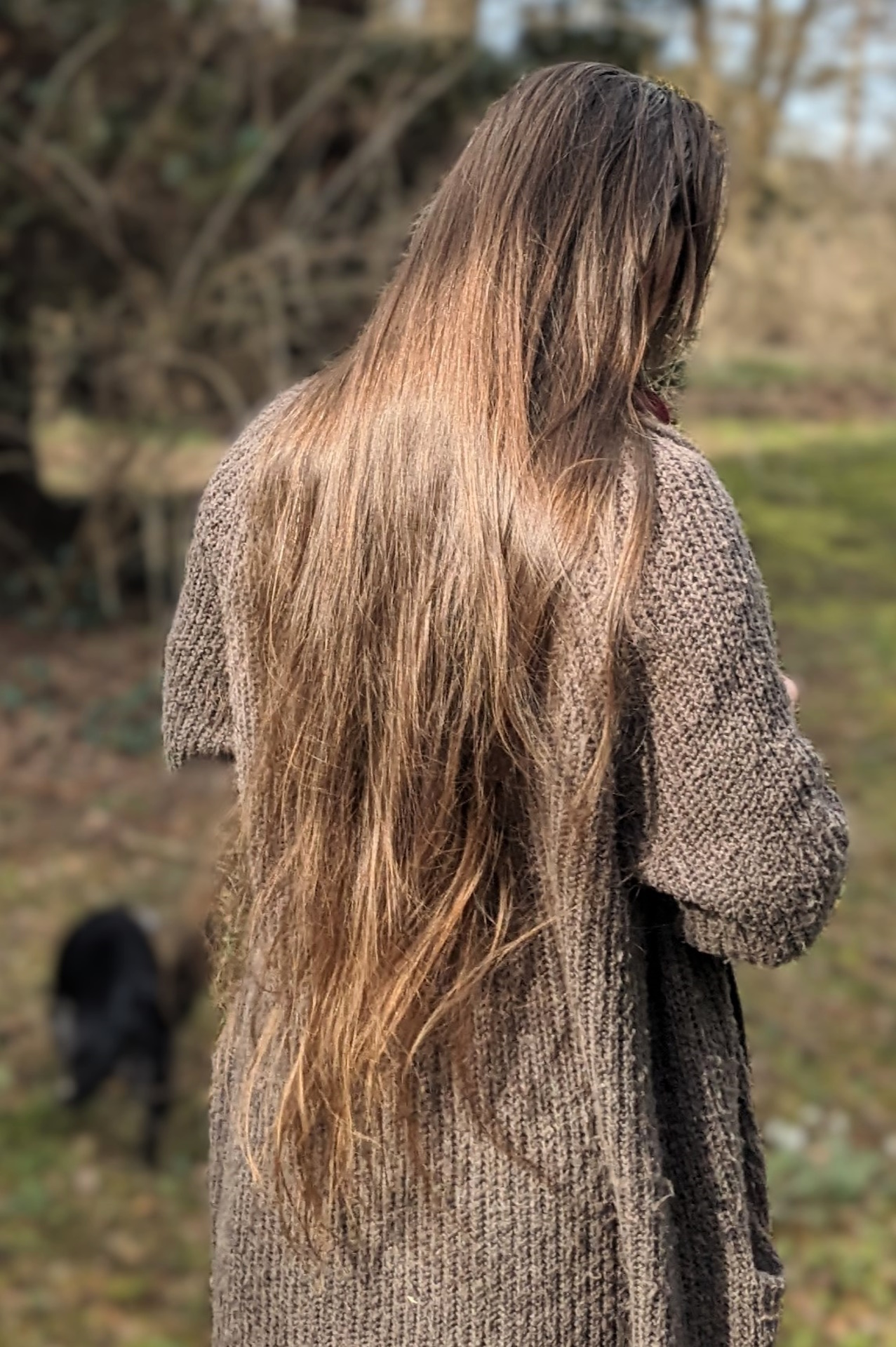Kiki Jadedrache Blog ⋆ Ausgefallene Haarspangen, Haarforken ...